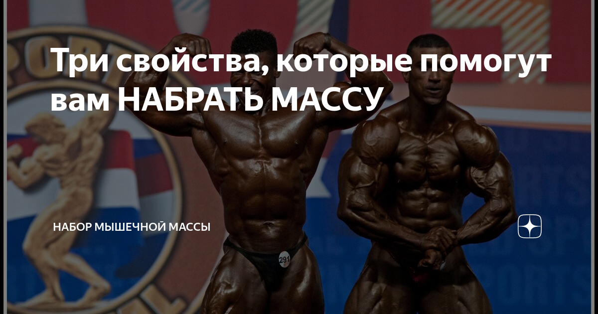 Три свойства, которые помогут вам НАБРАТЬ МАССУ | Набор мышечной массы ...