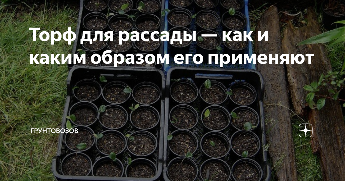 Торф для рассады — как и каким образом его применяют | Грунтовозов | Дзен