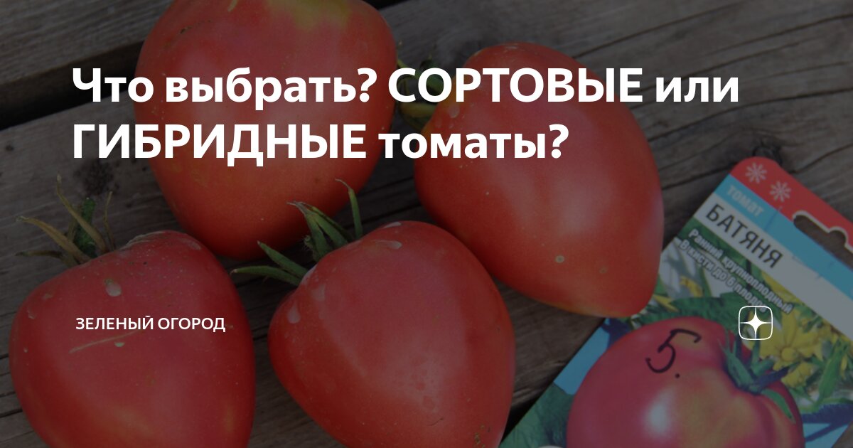 Что выбрать? СОРТОВЫЕ или ГИБРИДНЫЕ томаты? | Зеленый Огород | Дзен