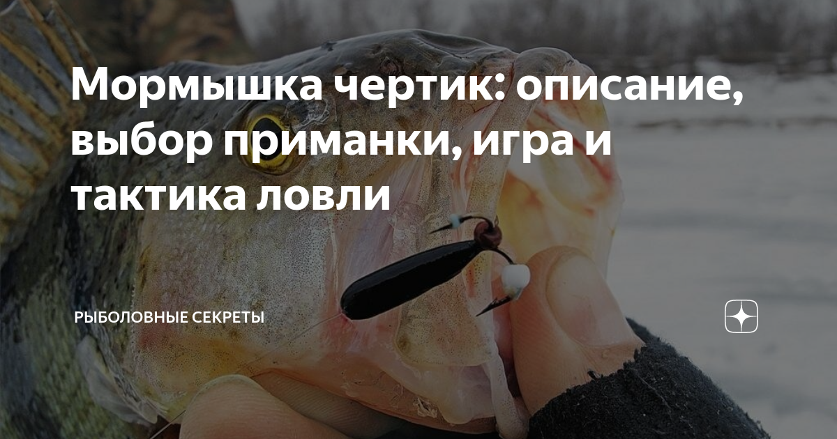 Мормышка чертик: описание, выбор приманки, игра и тактика ловли ...