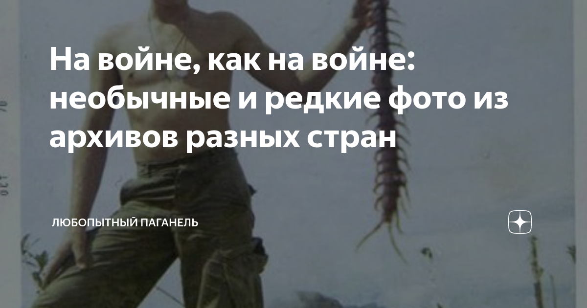 На войне как на войне необычные и редкие фото из архивов разных стран