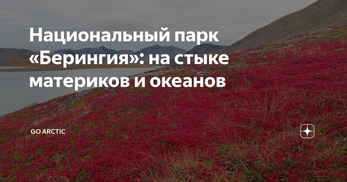 Национальный парк «Берингия»: на стыке материков и океанов | GoArctic ...