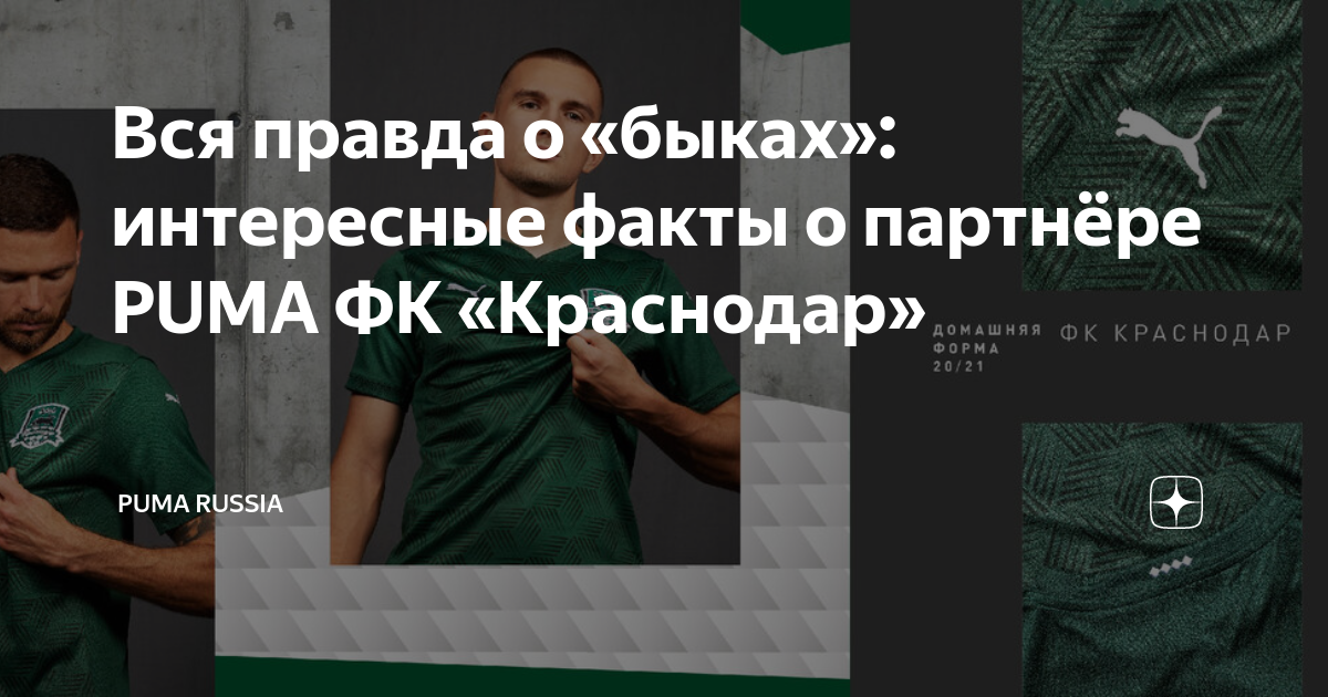Вся правда о «быках»: интересные факты о партнёре PUMA ФК «Краснодар ...