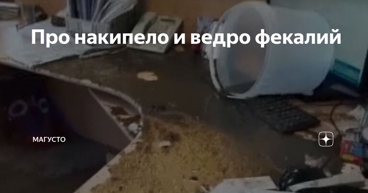 Про накипело и ведро фекалий | МАГУСТО | Дзен