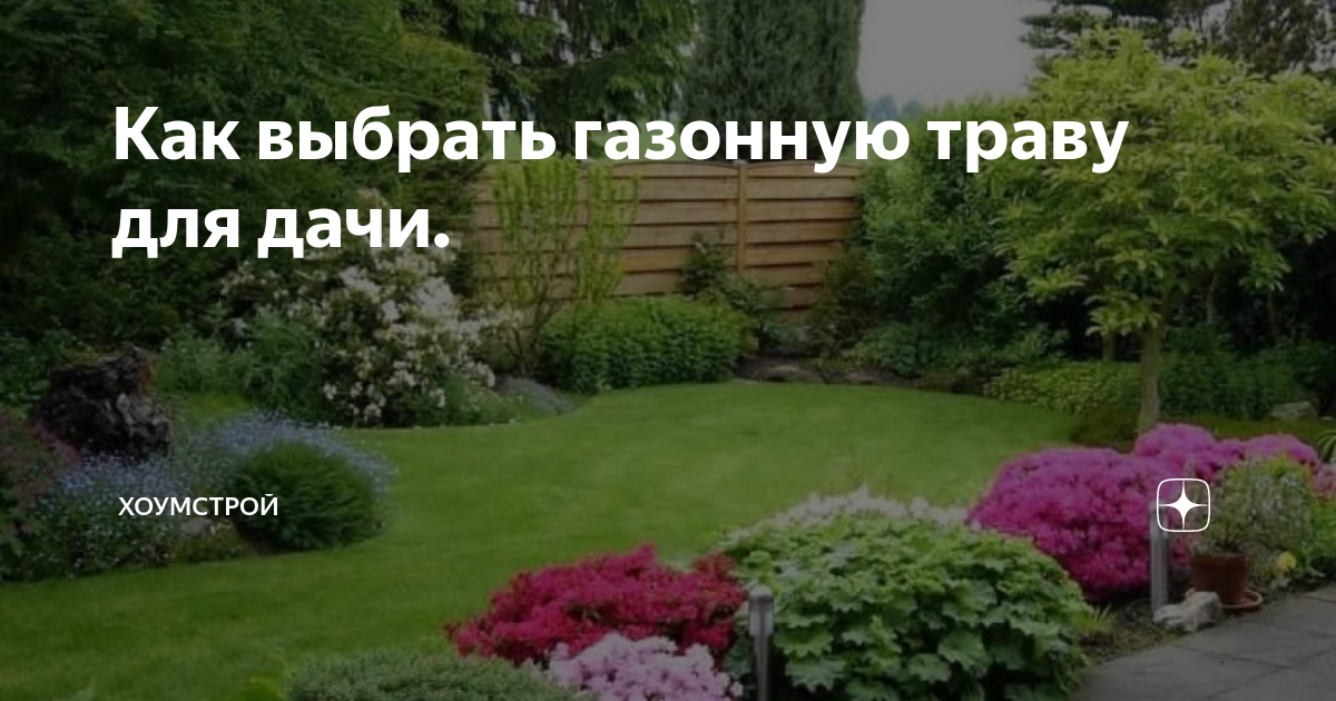 Как выбрать газонную траву для дачи. | ХоумСтрой | Дзен
