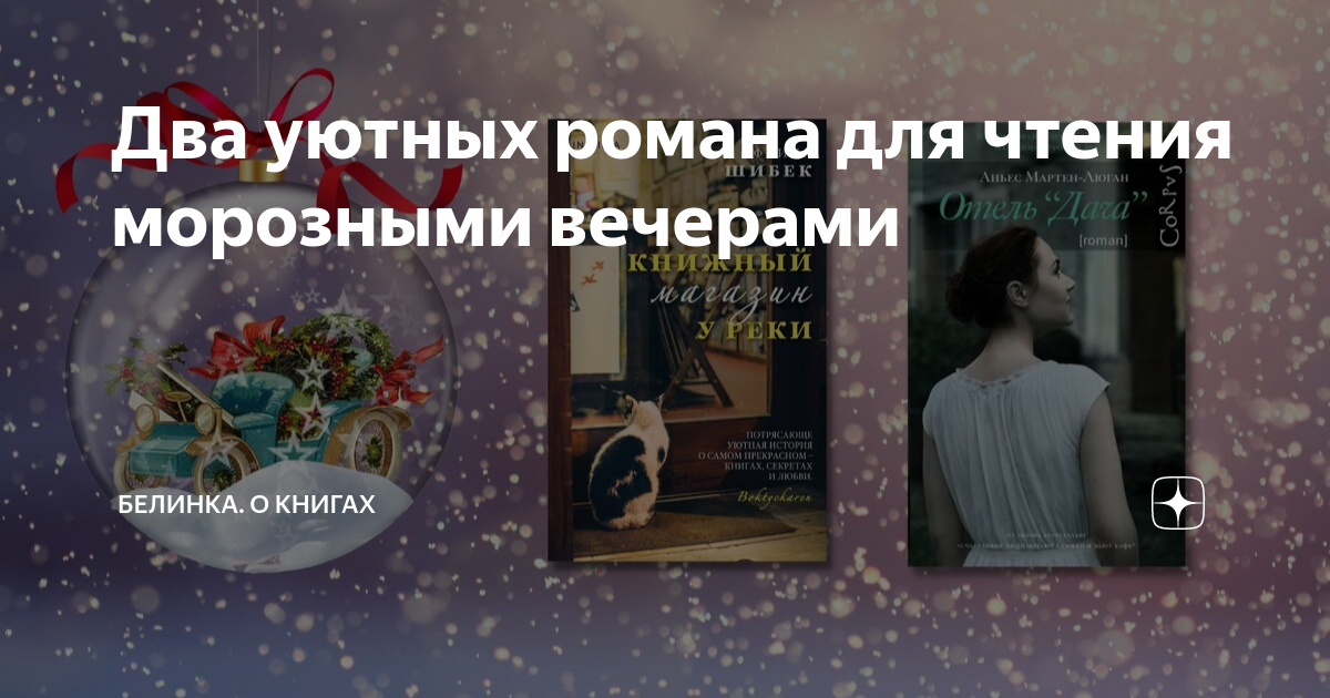 Два уютных романа для чтения морозными вечерами | Белинка. О книгах | Дзен