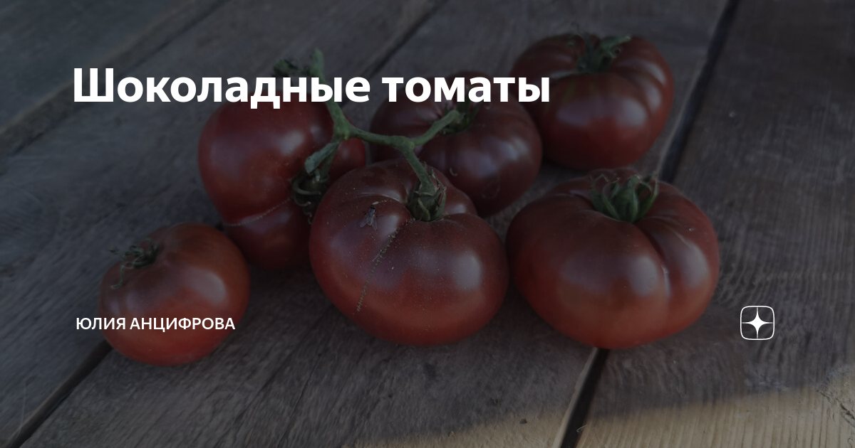 Шоколадные томаты | Юлия Анцифрова | Дзен