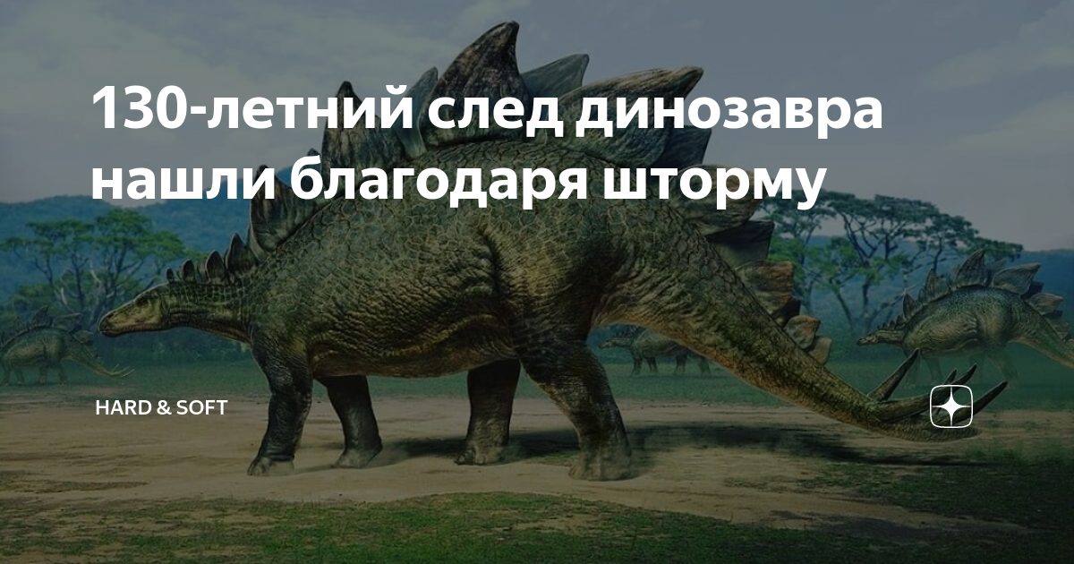 130-летний след динозавра нашли благодаря шторму | Железо и Софт | Дзен