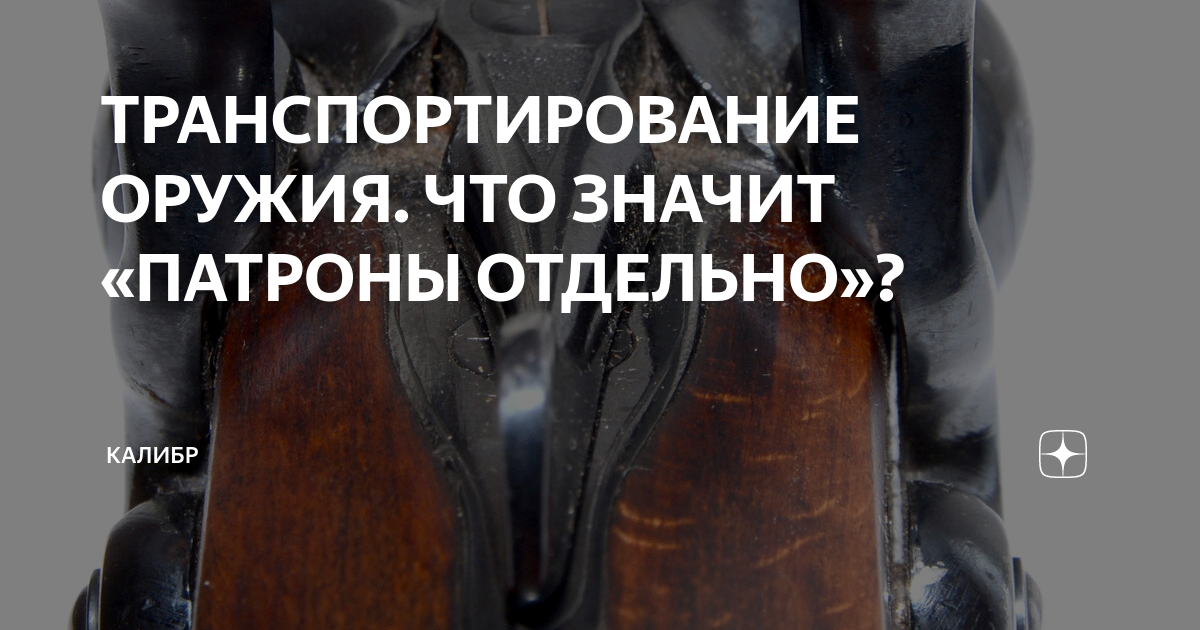 ТРАНСПОРТИРОВАНИЕ ОРУЖИЯ. ЧТО ЗНАЧИТ «ПАТРОНЫ ОТДЕЛЬНО»? | КАЛИБР | Дзен