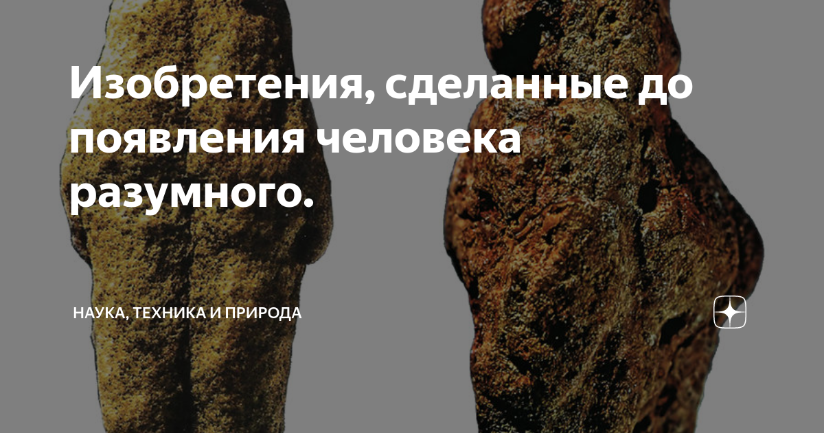 Изобретения, сделанные до появления человека разумного. | наука ...