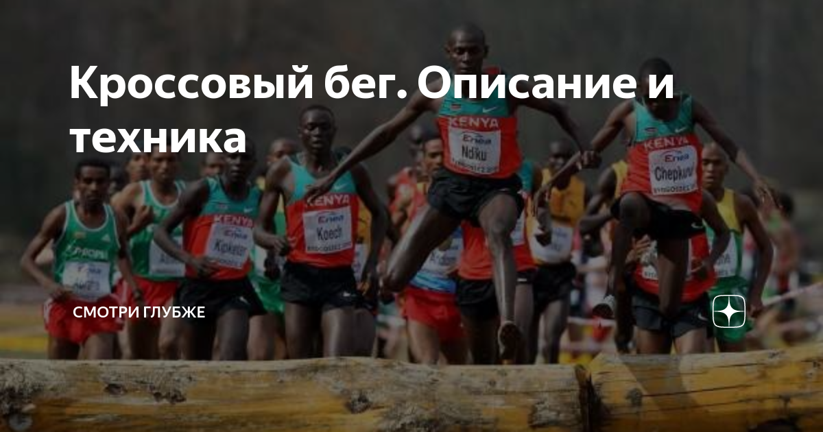 Кроссовый бег. Описание и техника | Смотри глубже | Дзен