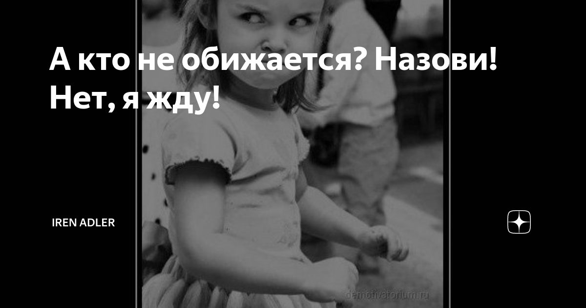 А кто не обижается? Назови! Нет, я жду! | Iren Adler | Дзен