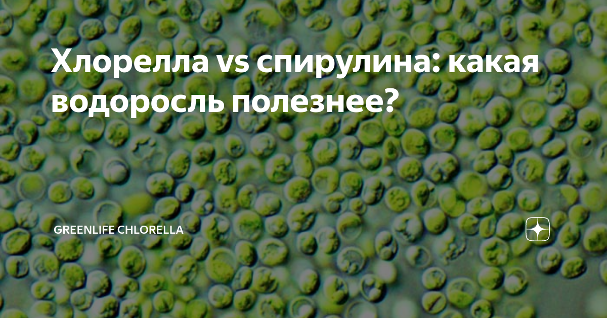 Хлорелла Vs спирулина какая водоросль полезнее Greenlife Chlorella