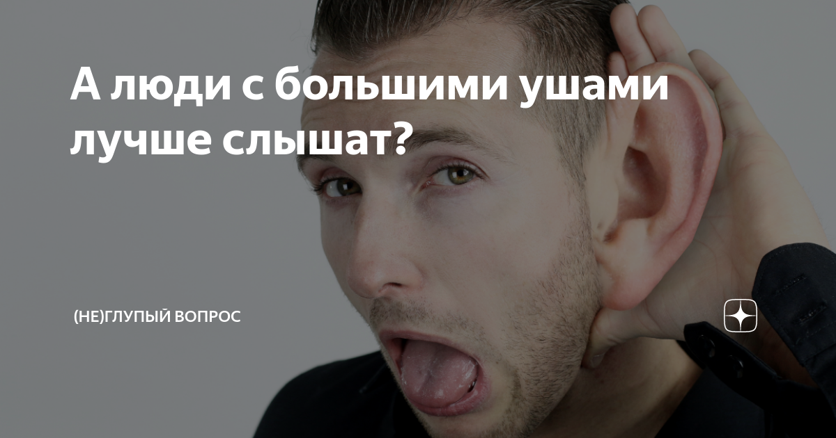 А люди с большими ушами лучше слышат? | (Не)Глупый вопрос | Дзен