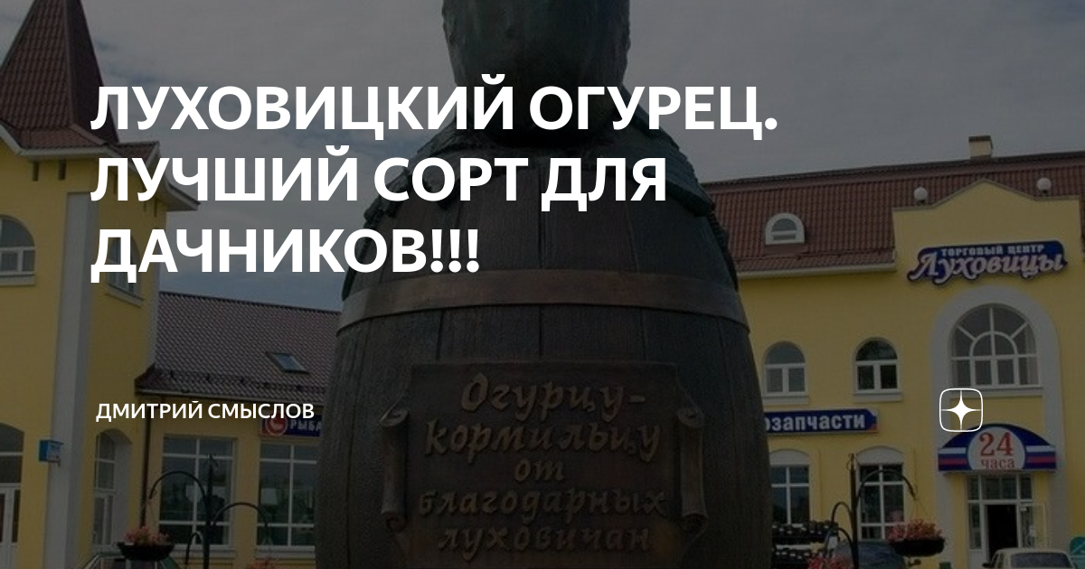 ЛУХОВИЦКИЙ ОГУРЕЦ. ЛУЧШИЙ СОРТ ДЛЯ ДАЧНИКОВ!!! | Дмитрий Смыслов | Дзен