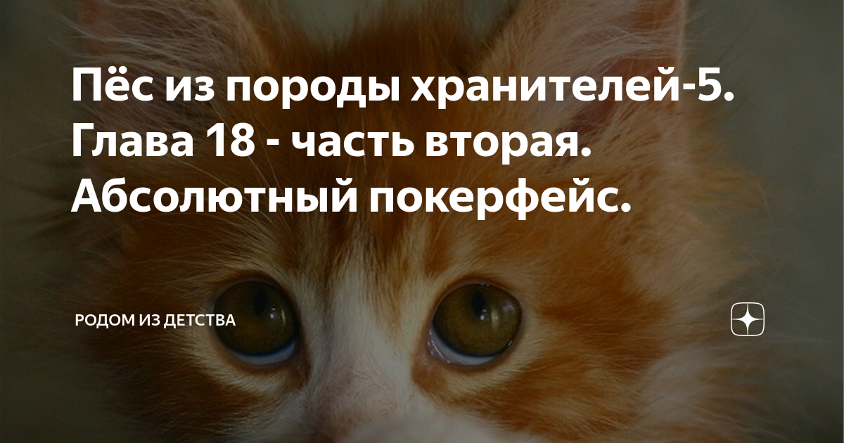 Пёс из породы хранителей-5. Глава 18 - часть вторая. Абсолютный ...