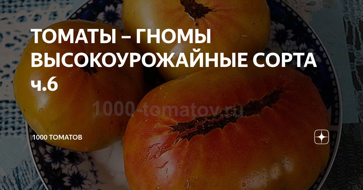 ТОМАТЫ – ГНОМЫ ВЫСОКОУРОЖАЙНЫЕ СОРТА ч.6 | 1000 томатов | Дзен