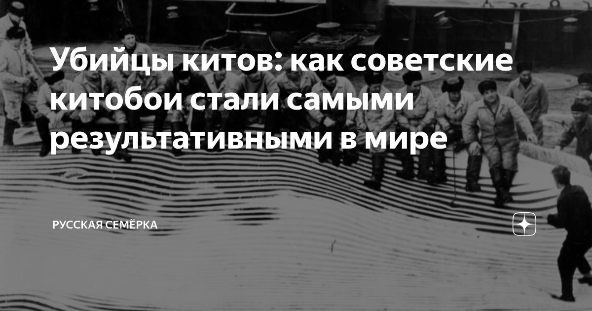 Убийцы китов как советские китобои стали самыми результативными в мире
