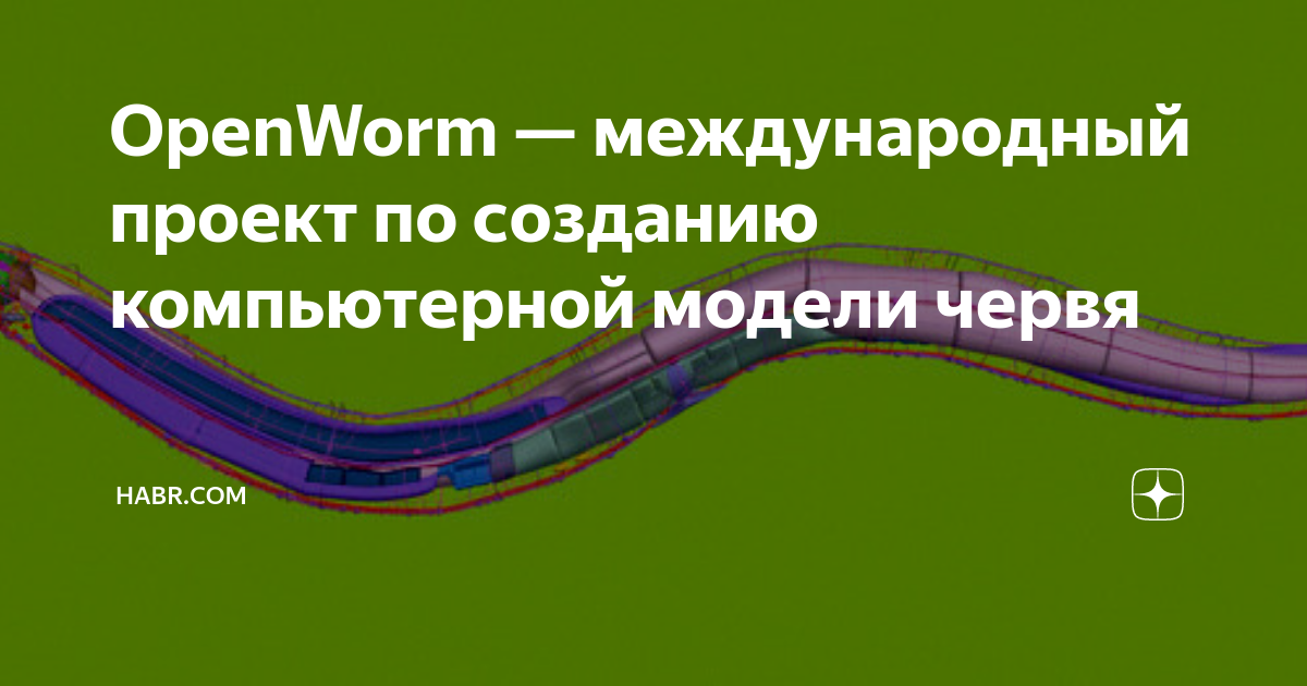 OpenWorm — международный проект по созданию компьютерной модели червя | Habr.com | Дзен