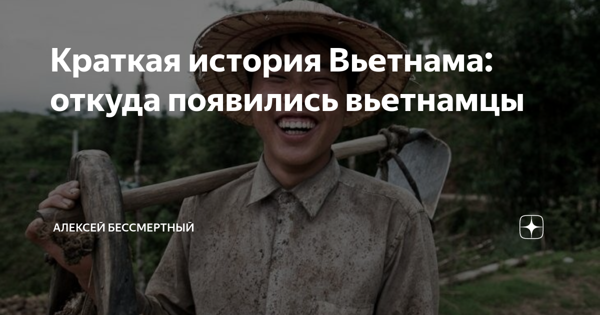 Краткая история Вьетнама откуда появились вьетнамцы Алексей