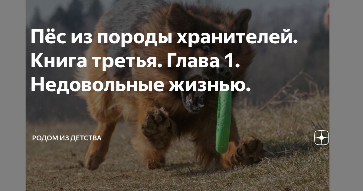 Пёс из породы хранителей. Книга третья. Глава 1. Недовольные жизнью ...