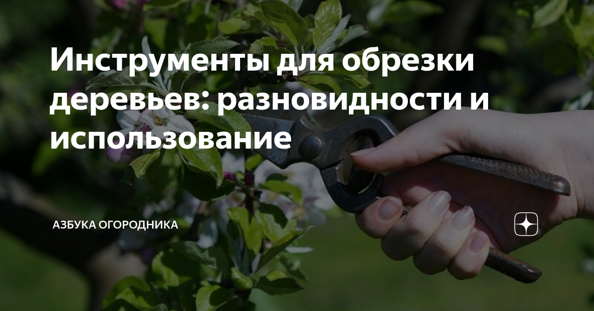 Инструменты для обрезки деревьев: разновидности и использование ...