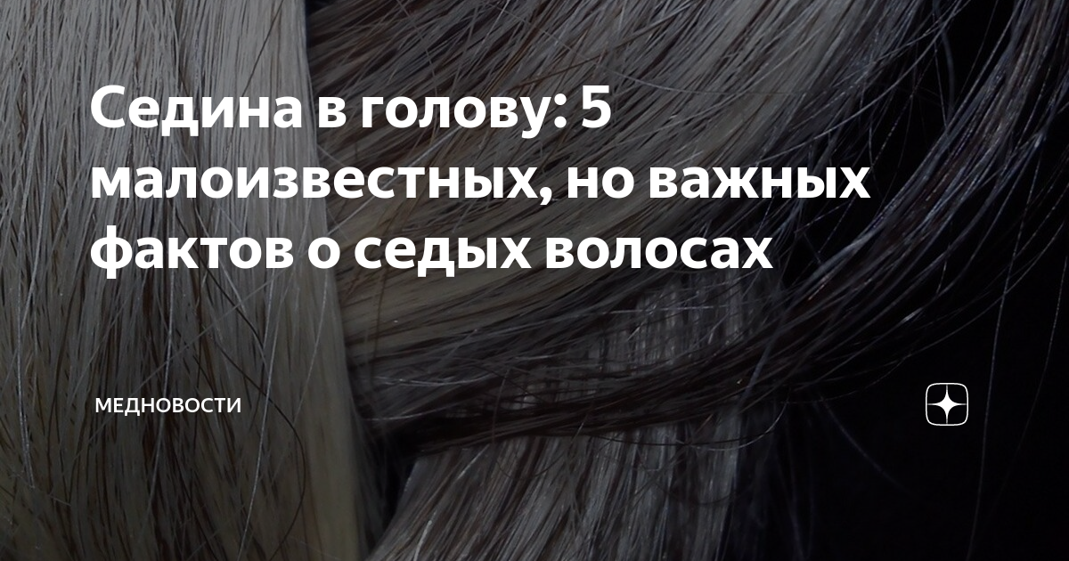Седина в голову: 5 малоизвестных, но важных фактов о седых волосах ...