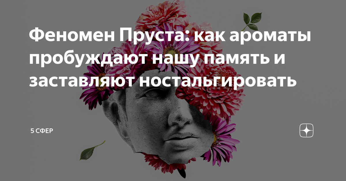Феномен Пруста: как ароматы пробуждают нашу память и заставляют ...