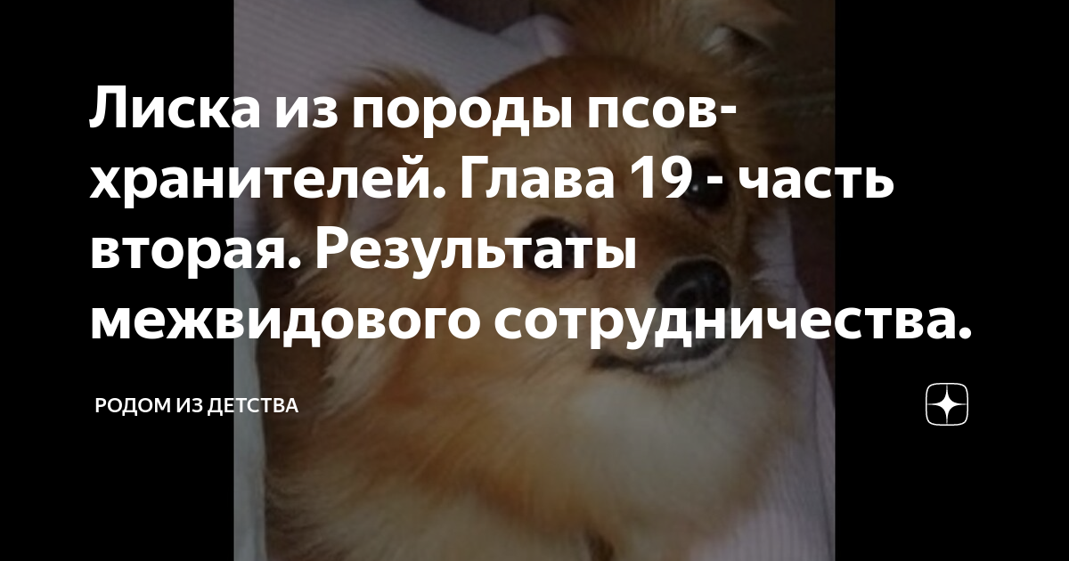 Лиска из породы псов-хранителей. Глава 19 - часть вторая. Результаты ...