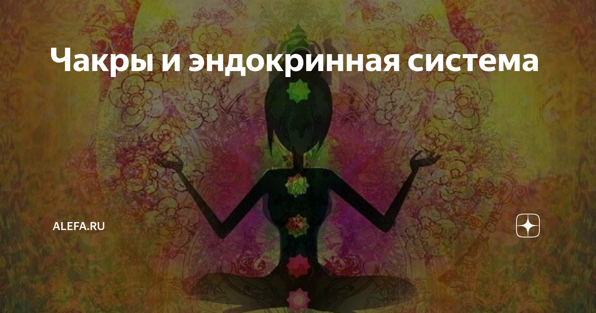 Чакры и эндокринная система | Alefa.ru | Дзен