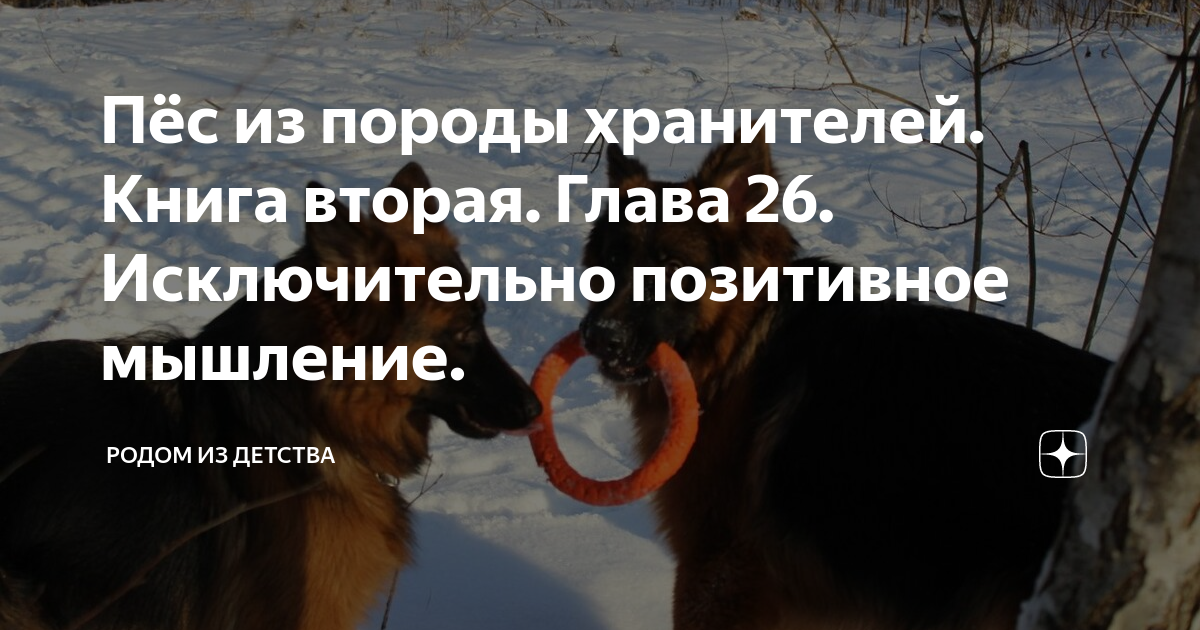 Пёс из породы хранителей. Книга вторая. Глава 26. Исключительно ...