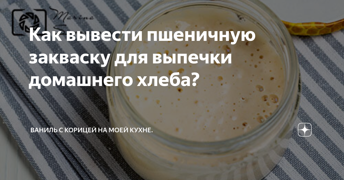 Как вывести пшеничную закваску для выпечки домашнего хлеба Ваниль с