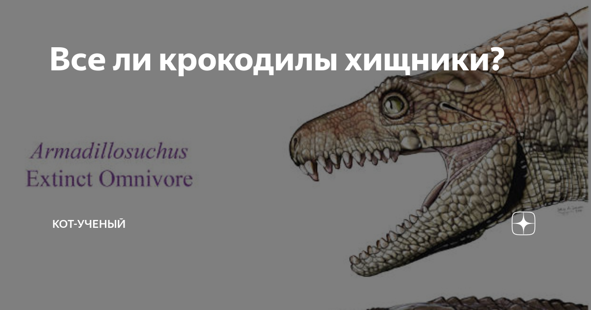 Все ли крокодилы хищники? | Кот-ученый | Дзен