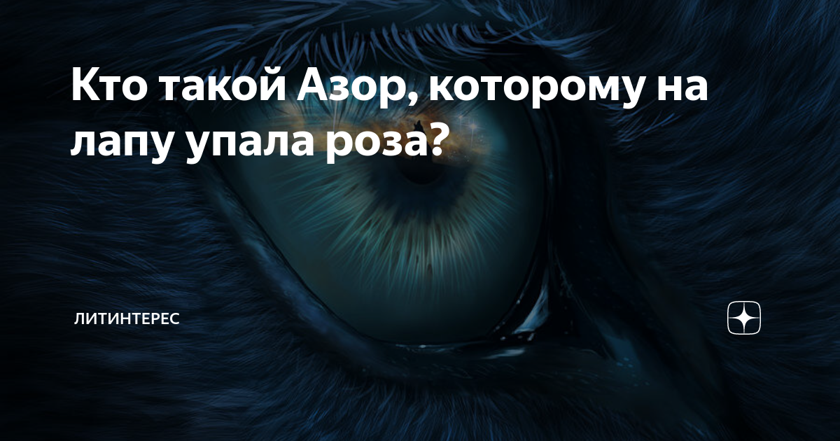 Кто такой Азор, которому на лапу упала роза? | ЛИТИНТЕРЕС | Дзен