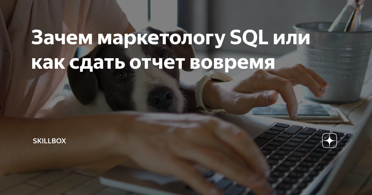 Зачем маркетологу SQL или как сдать отчет вовремя | Skillbox | Дзен