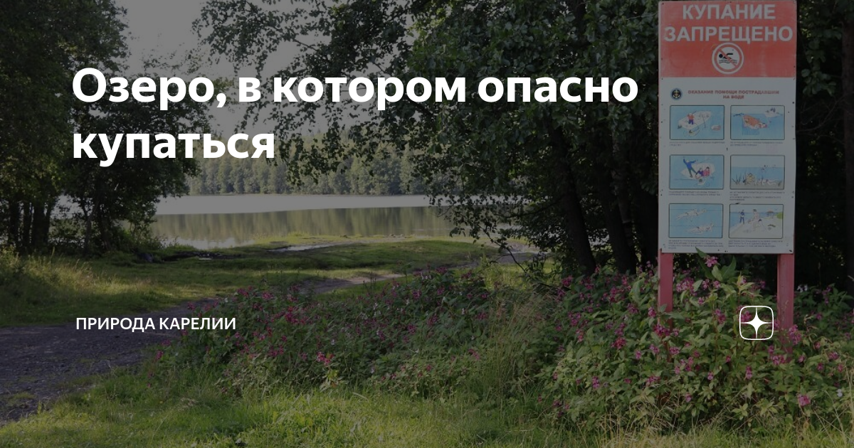 Озеро в котором опасно купаться Природа Карелии Дзен