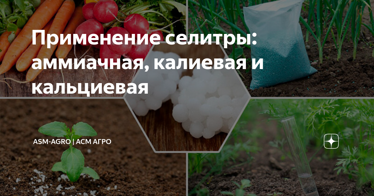 Применение селитры аммиачная калиевая и кальциевая Asm Agro Дзен