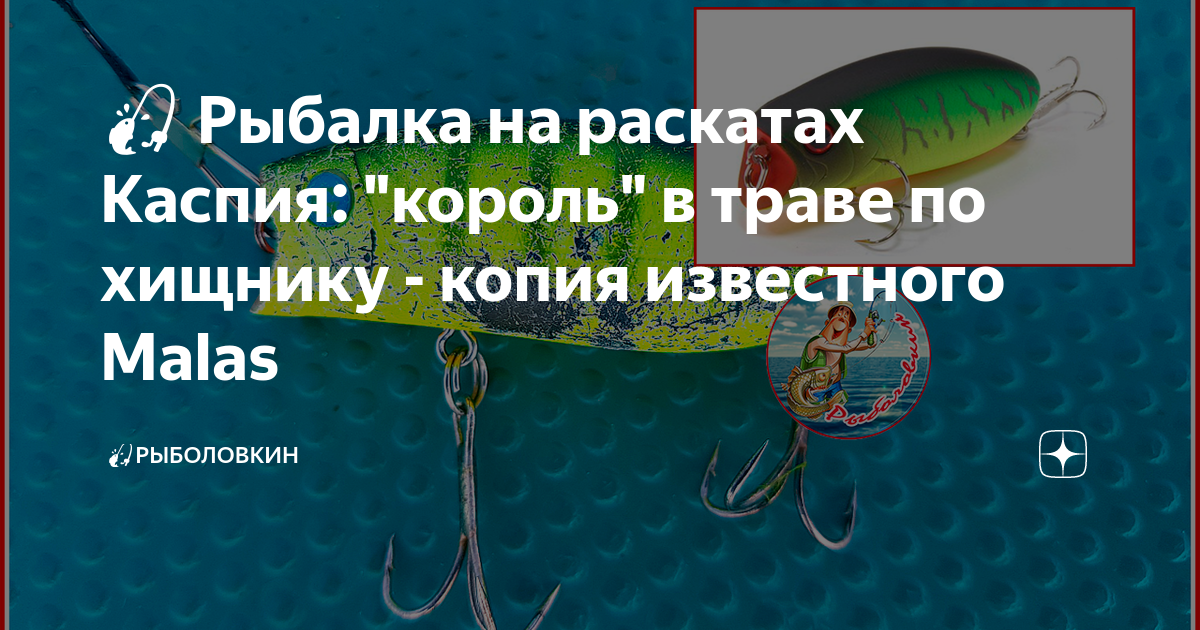 🎣 Рыбалка на раскатах Каспия: "король" в траве по хищнику - копия ...