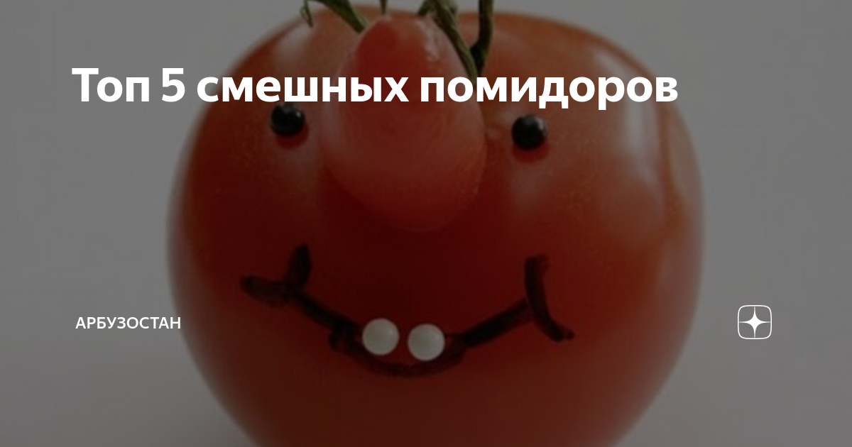 Топ 5 смешных помидоров | Арбузостан | Дзен