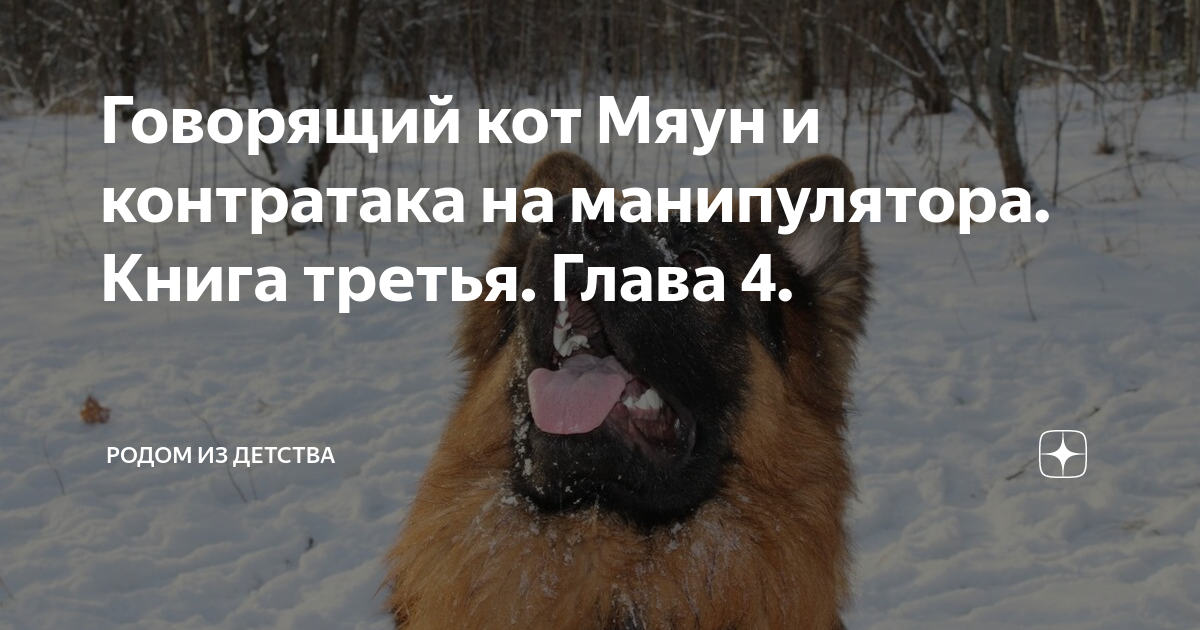 Говорящий кот Мяун и контратака на манипулятора. Книга третья. Глава 4 ...