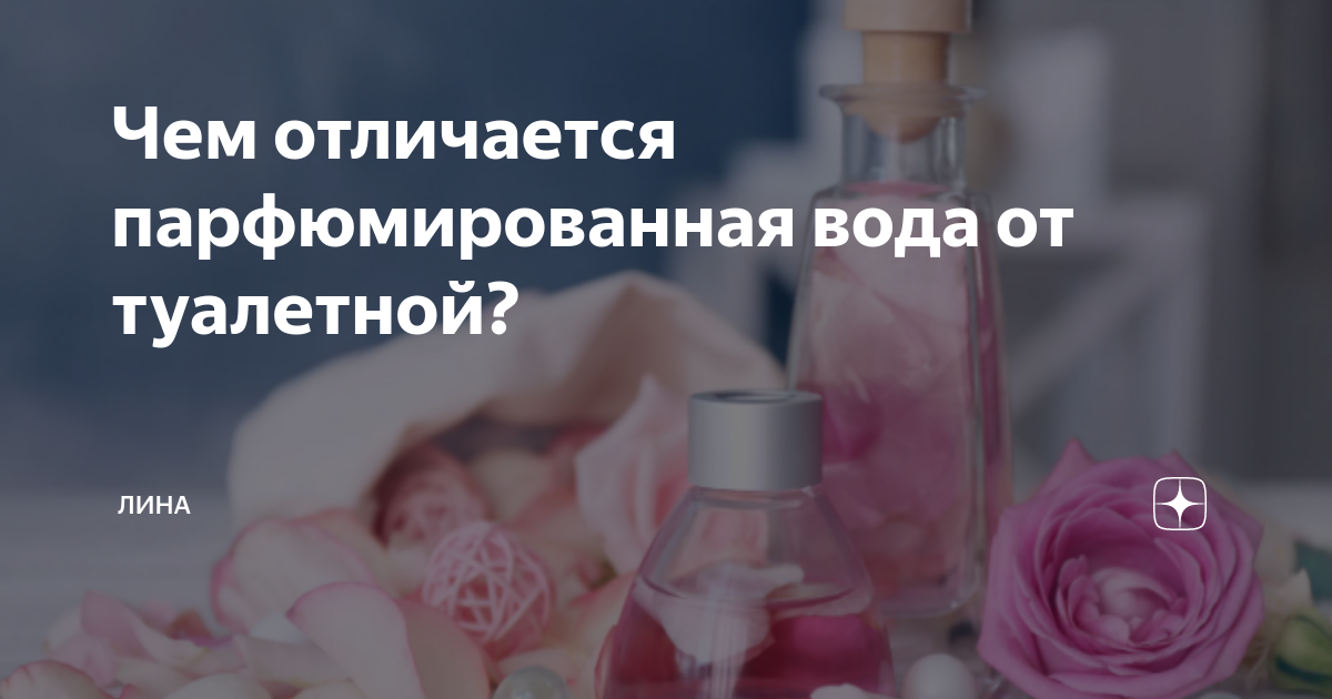 Чем отличается парфюмированная вода от туалетной? | Лина | Дзен