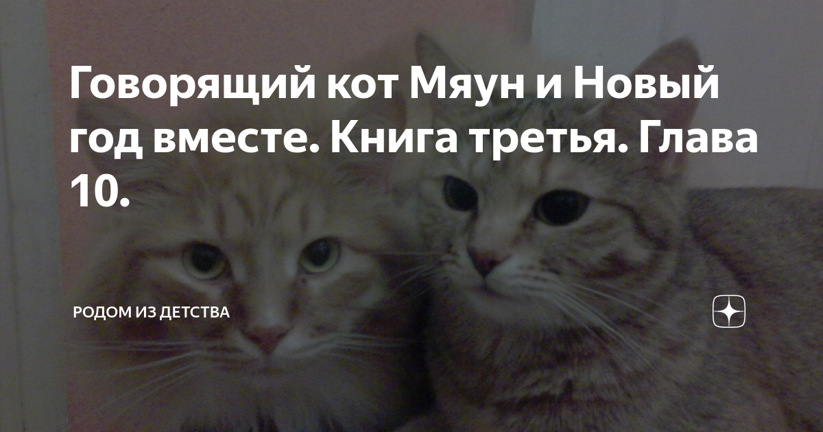 Говорящий кот Мяун и Новый год вместе. Книга третья. Глава 10. | Родом ...