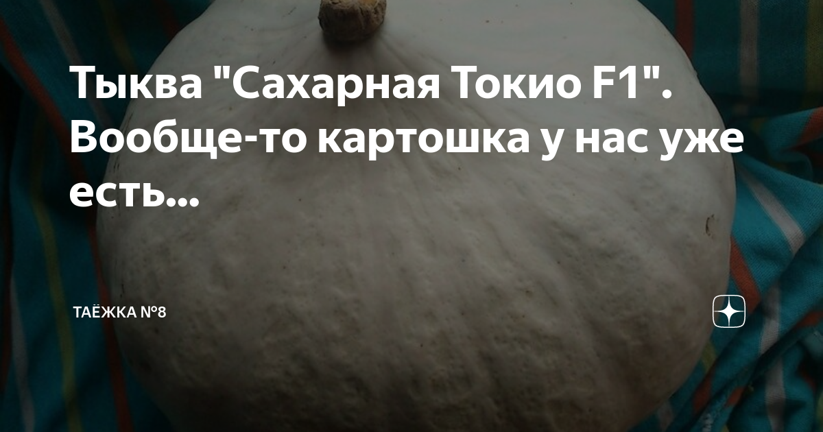 Тыква "Сахарная Токио F1". Вообще-то картошка у нас уже есть ...