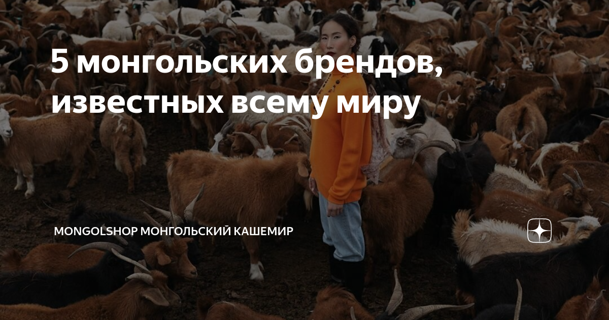 5 монгольских брендов, известных всему миру | Mongolshop Монгольский ...
