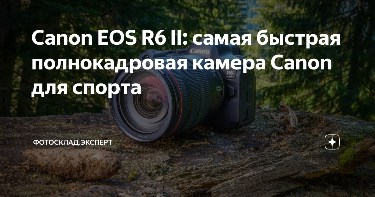 Canon EOS R6 II: самая быстрая полнокадровая камера Canon для спорта ...