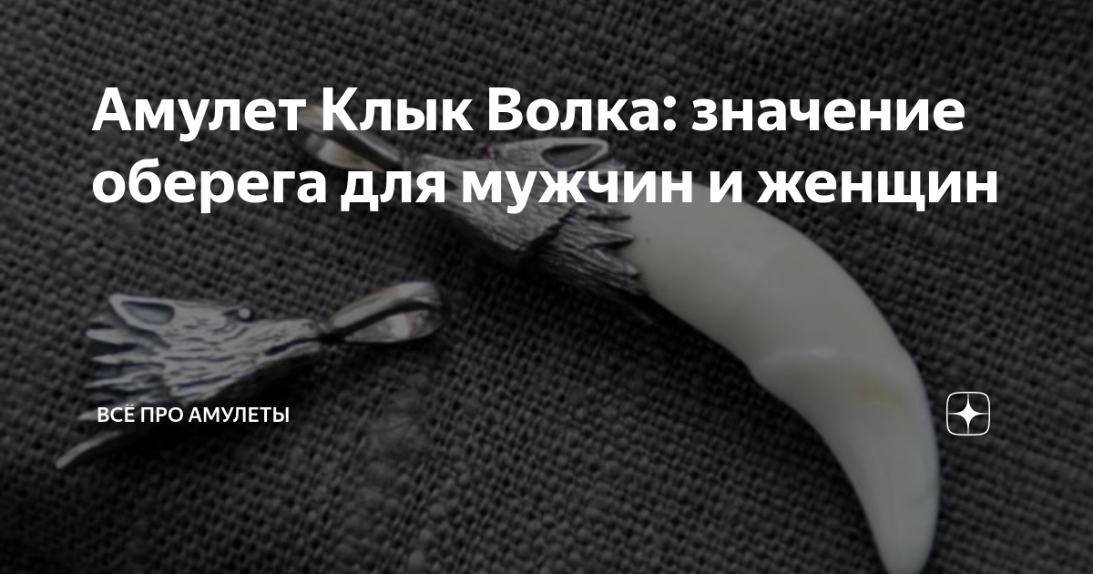 Амулет Клык Волка: значение оберега для мужчин и женщин | Амулеты ...