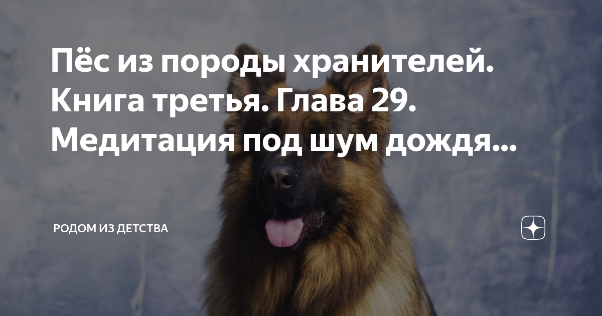 Пёс из породы хранителей. Книга третья. Глава 29. Медитация под шум ...