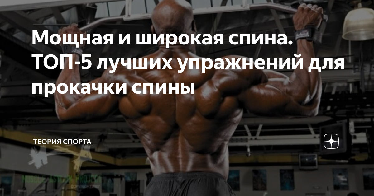 Мощная и широкая спина ТОП 5 лучших упражнений для прокачки спины