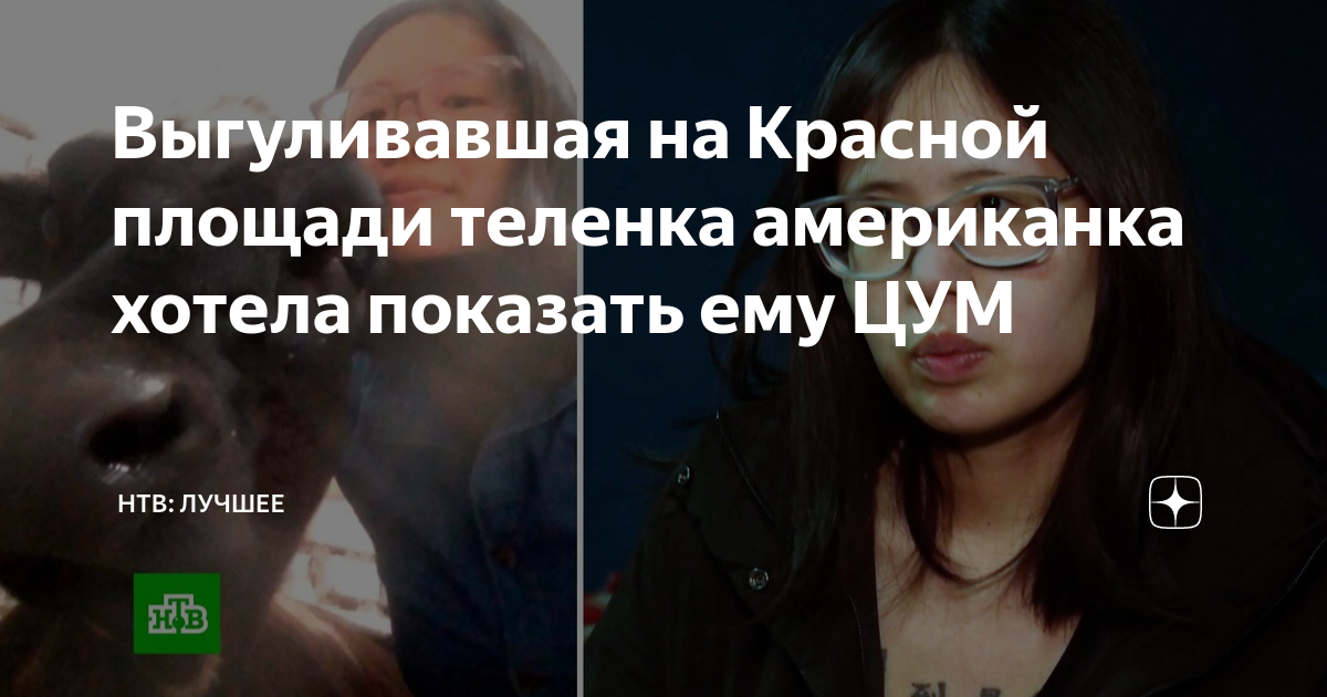 Выгуливавшая на Красной площади теленка американка хотела показать ему