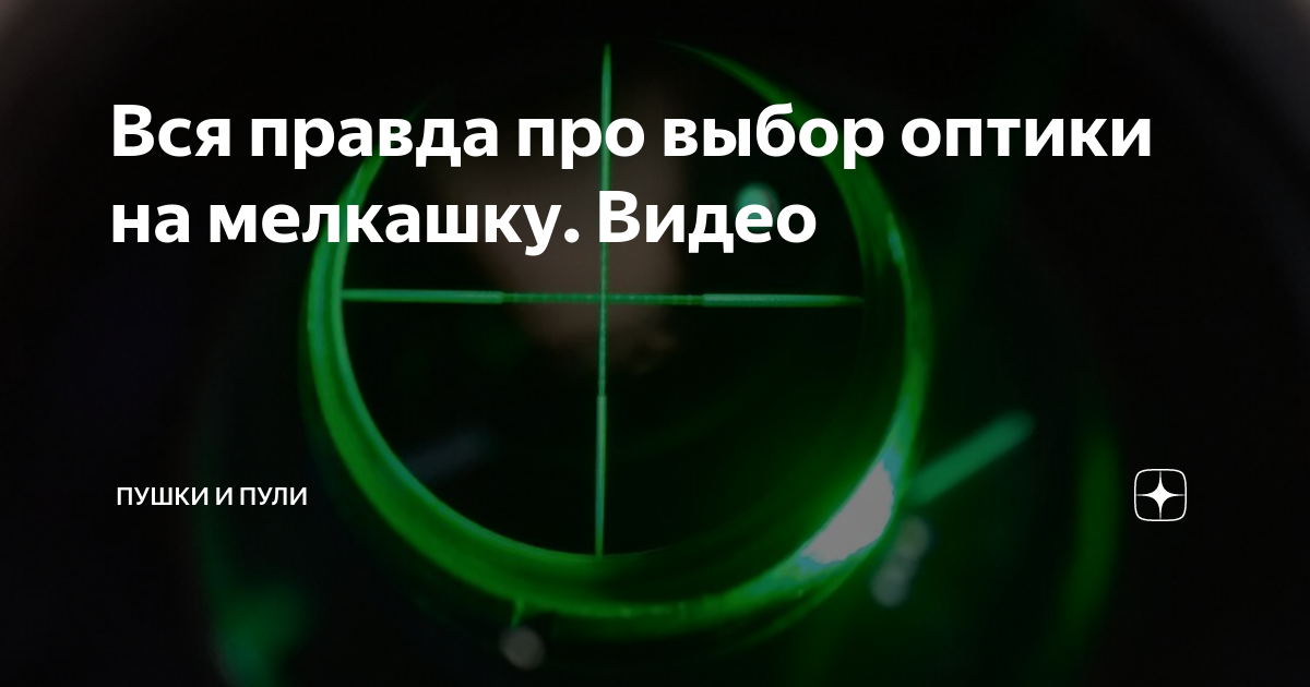 Вся правда про выбор оптики на мелкашку. Видео | Пушки и пули | Дзен